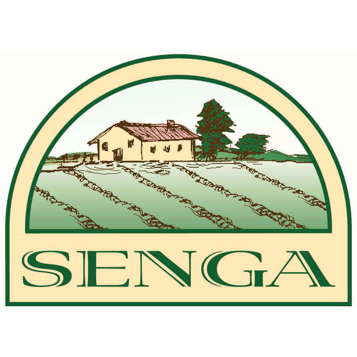 Agricola Senga - Rogers Collection