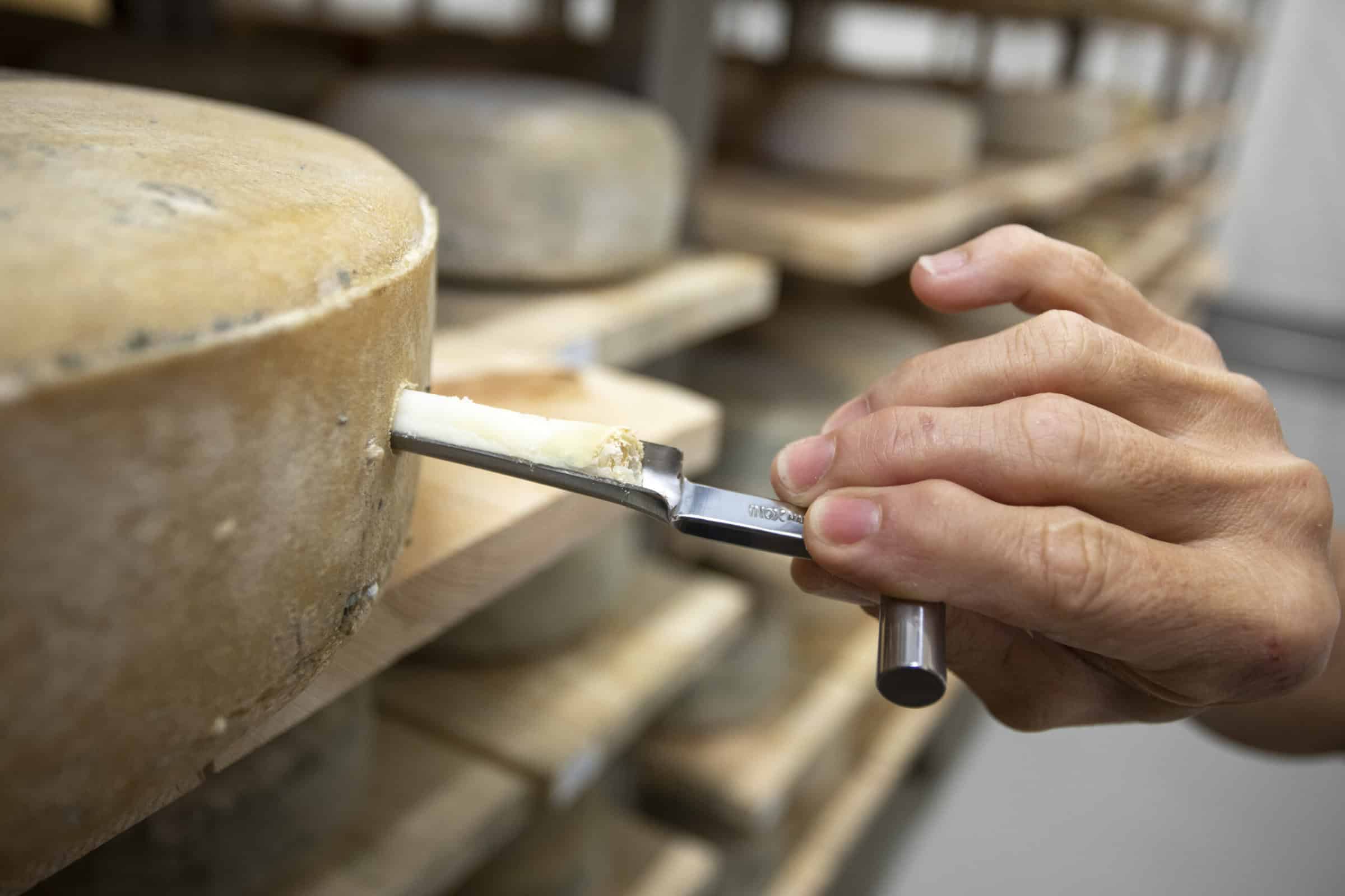 Producers - Rogers Collection